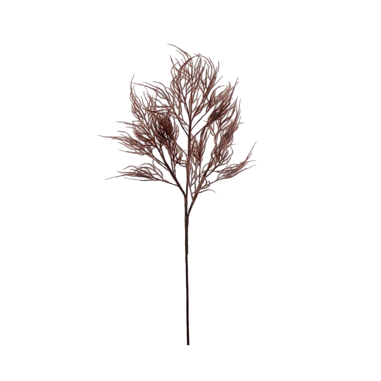 2 PK 33" Brown Reed Spray – Mix Home Mercantile